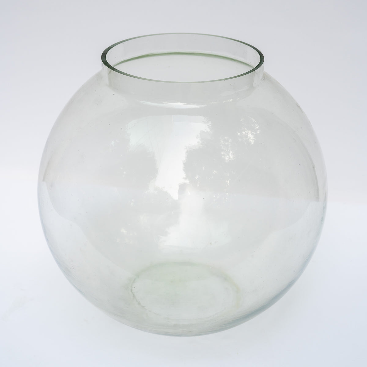 Fish Bowl Medium – Floral Pursuit Private Limited